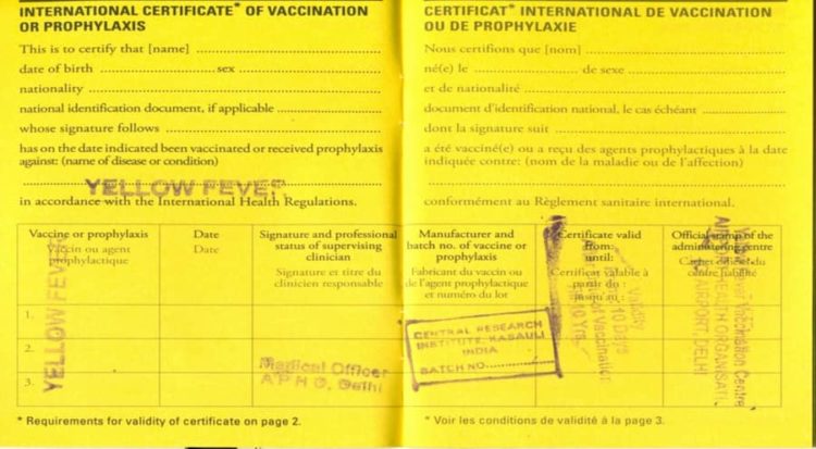 Yellow Fever: U Rwanda rurasaba abajya n’abava mu mahanga kwikingiza ...